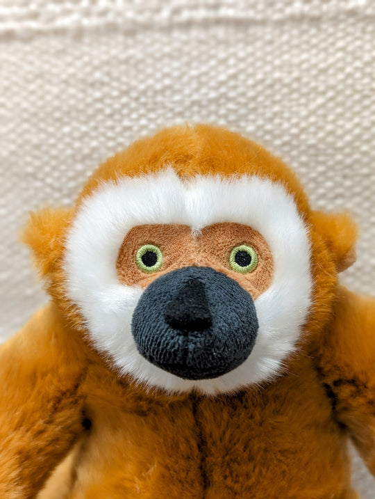 Fluff & Tuff Marcel Monkey – Scalawags Pet Boutique