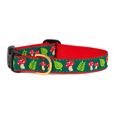 Mushrooms Dog Collar – Scalawags Pet Boutique